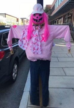 ACE Scarecrow Festival - Black Diamond Networks